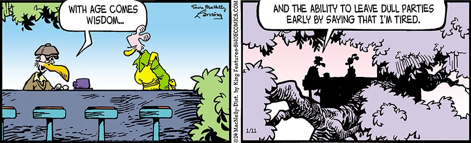 The Official Shoe Comic Strip Website