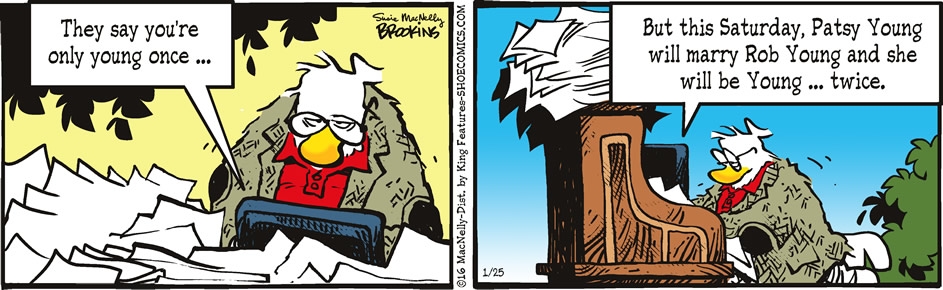 The Official Shoe Comic Strip Website