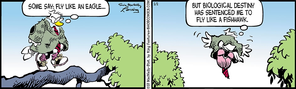 The Official Shoe Comic Strip Website