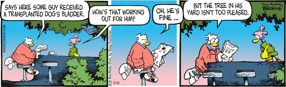 The Official Shoe Comic Strip Website