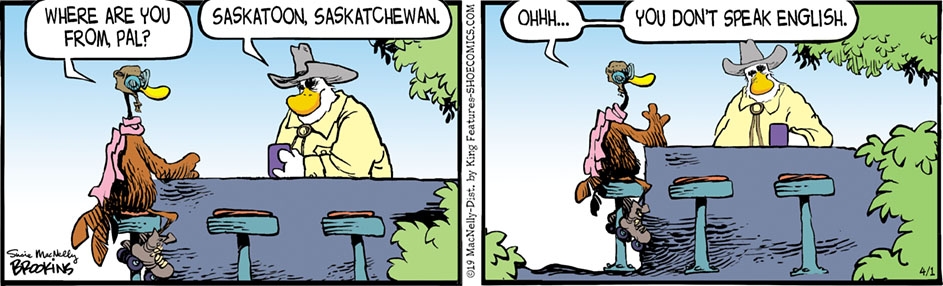 The Official Shoe Comic Strip Website