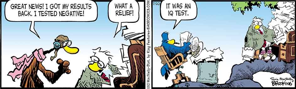 Intelligence Test Comic