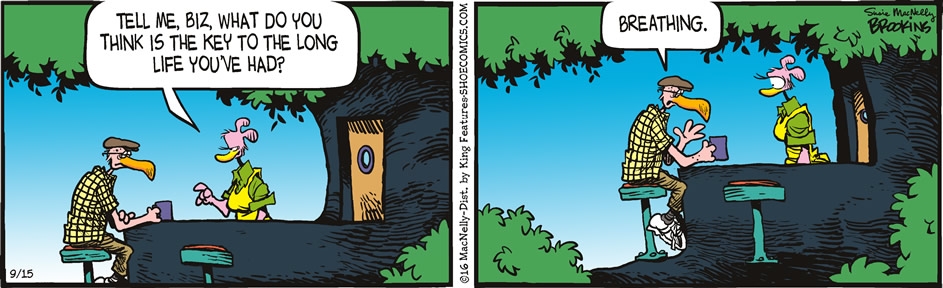 The Official Shoe Comic Strip Website